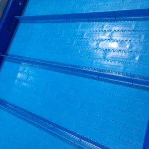 Flighted Conveyor Belt for Food Processing Applications